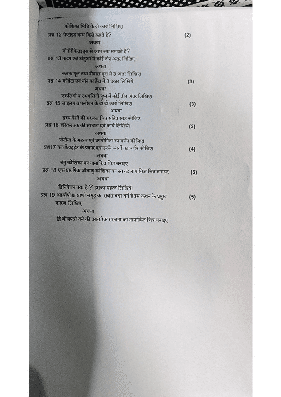 MP Board Class 11th Biology Trimasik Paper 2023: कक्षा 11वी जीवविज्ञान ...